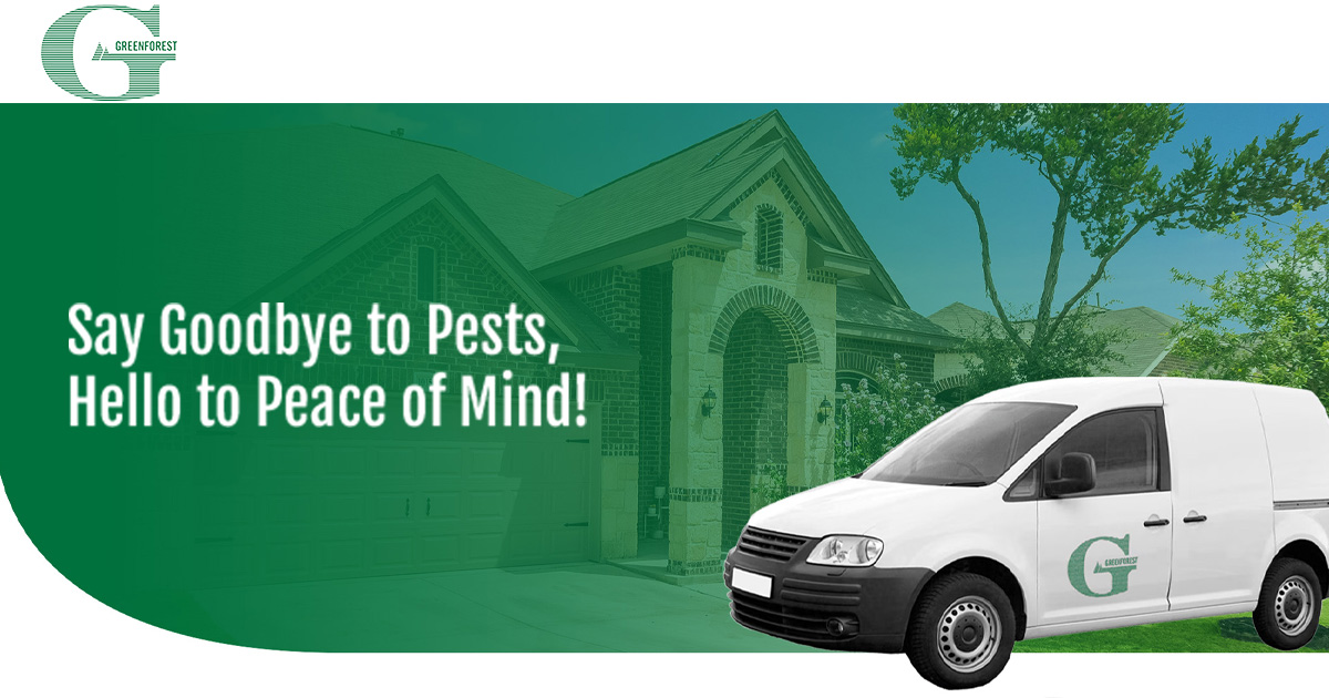 Dallas-Fort Worth Pest Control | Greenforest Termite and Pest Control